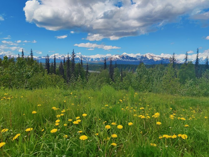 Denali View North Reviews - 4.6/5 Stars | Denali National Park Guide