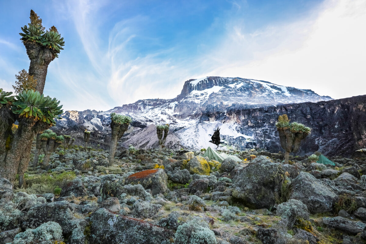 Does It Snow in Africa? Here’s What to Know About Winter | Destinations.ai