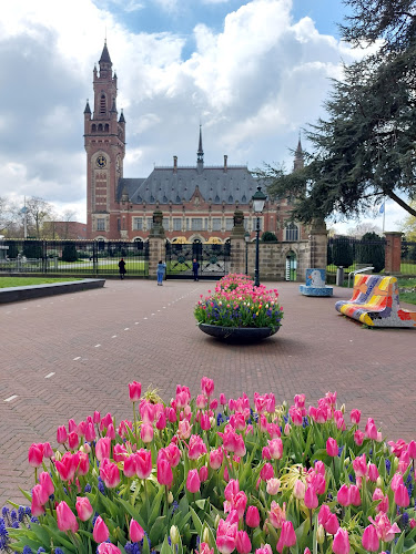 Peace Palace Reviews - 4.5/5 Stars | The Hague Guide